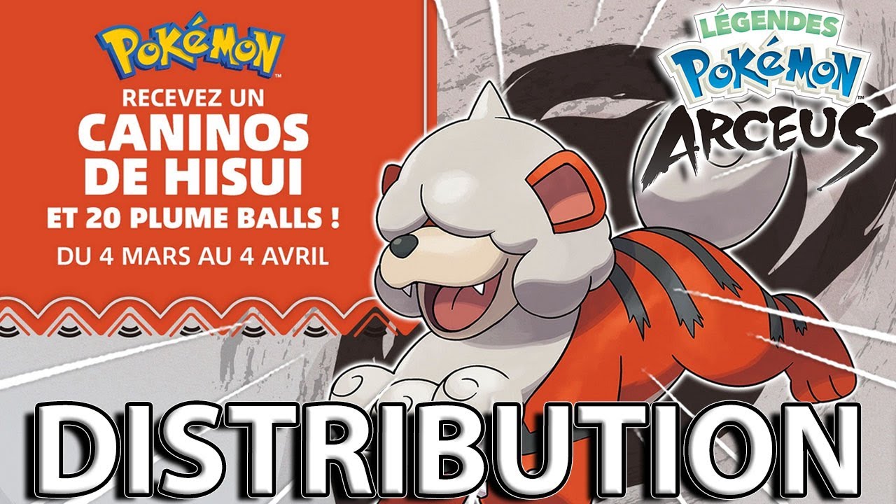 DISTRIBUTION CANINOS DE HISUI 🎁 | LÉGENDES POKÉMON ARCEUS - YouTube