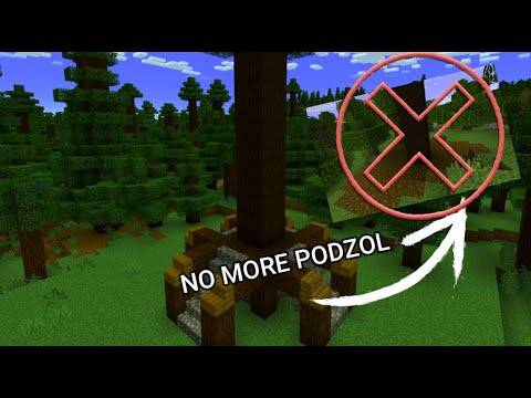How To Stop Podzol From Growing Under Trees In Minecraft - YouTube