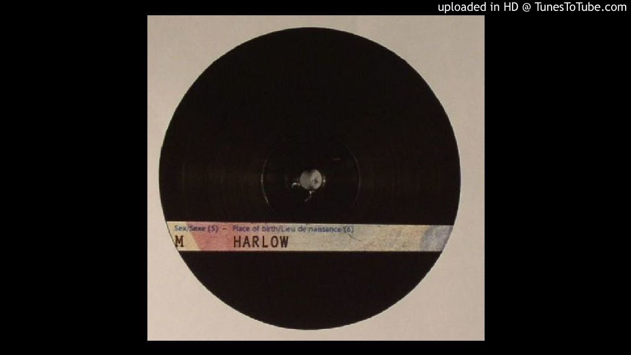 DJ Harlow - I Am The D - YouTube