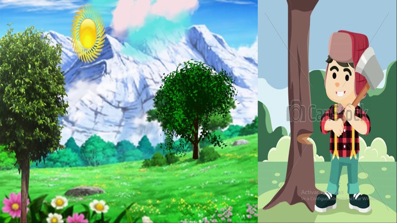 EL CONCERTAJE - YouTube