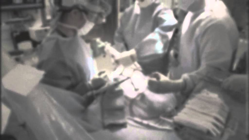 Contents of the Second Disc - YouTube