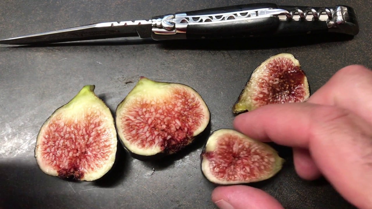 french fig farm: Sultane - YouTube