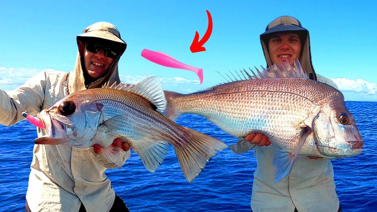Is this the BEST Snapper Lure EVER? (Insanely hot session!) - YouTube