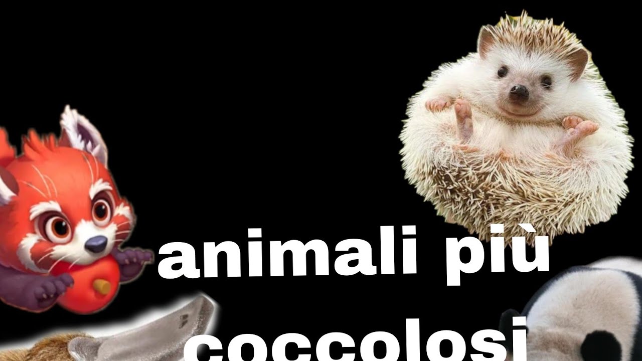 animali più coccolosi e belli del mondo - YouTube