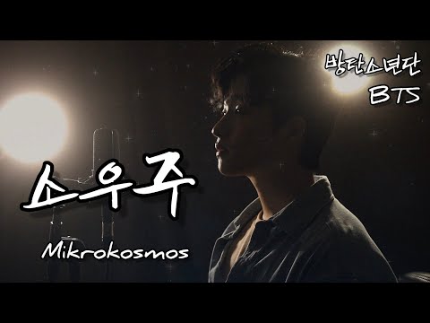 BTS - `소우주 (Mikrokosmos)` Cover [전예찬]