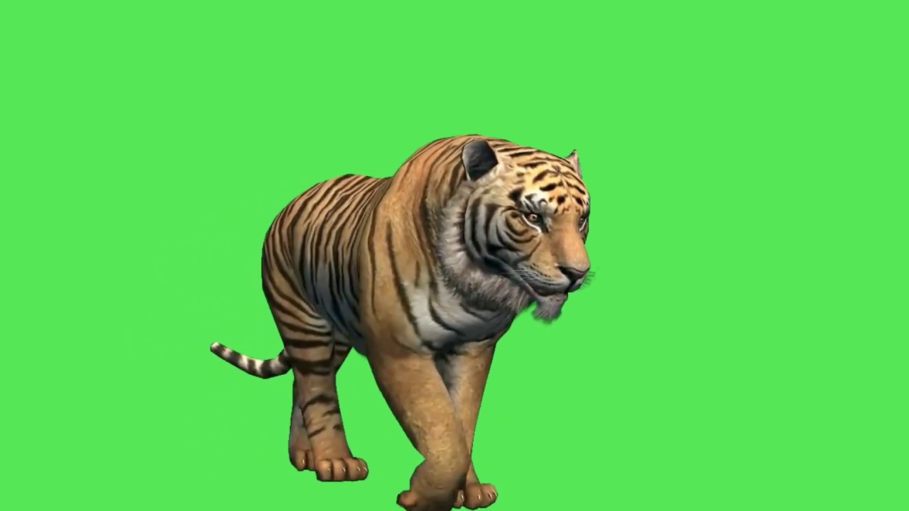 GFX Green Screen Videos - YouTube