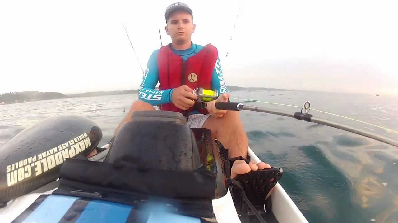 Nice King Mackerel / Couta Caught off A fishing Kayak - YouTube