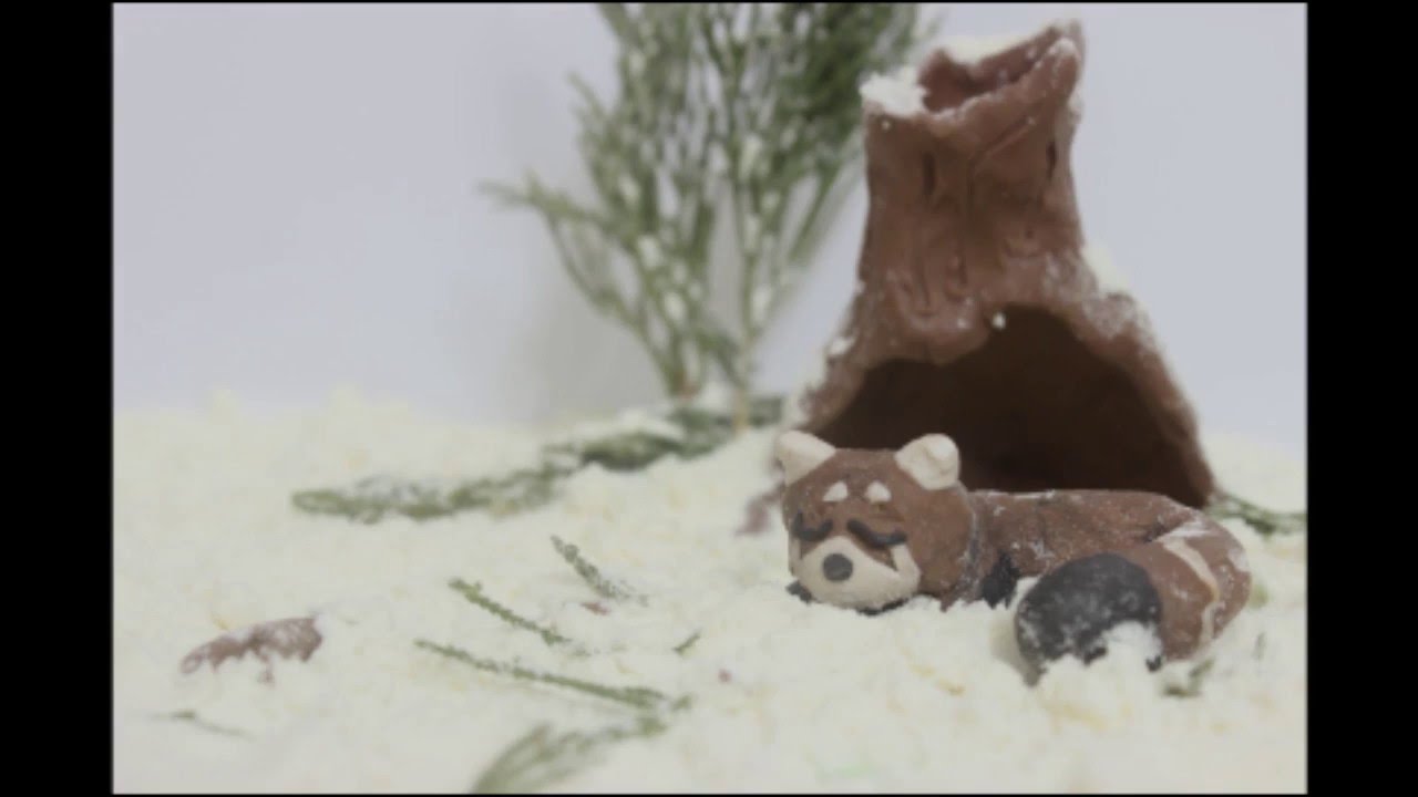 Deforestation ft. Red Panda for WWF - YouTube