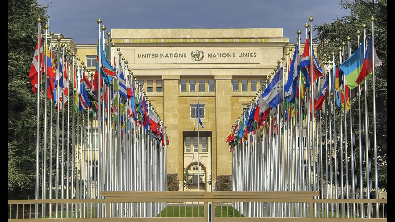 Anna Bacchia at the United Nations: an expanded Consciousness of Life ...