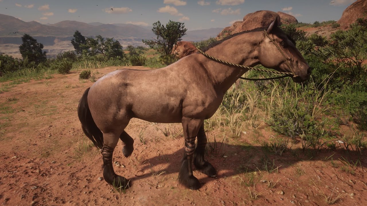 One Of The Rarest Horses In The Game (Tiger Striped Mustang) - Read ...