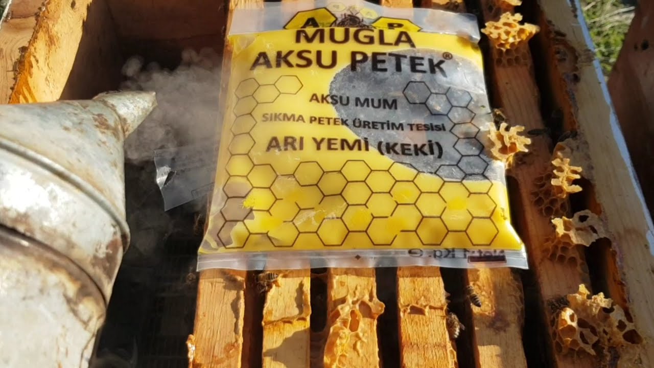 Arı kışlatırken dikkat edilmesi gerekenler!!! arıya kışın kek verilirmi ...