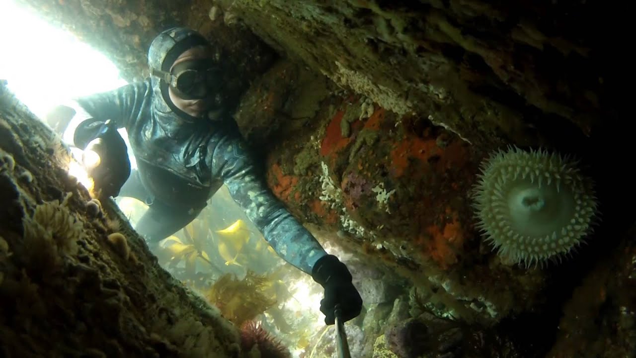 Freediving Point Lobos - YouTube