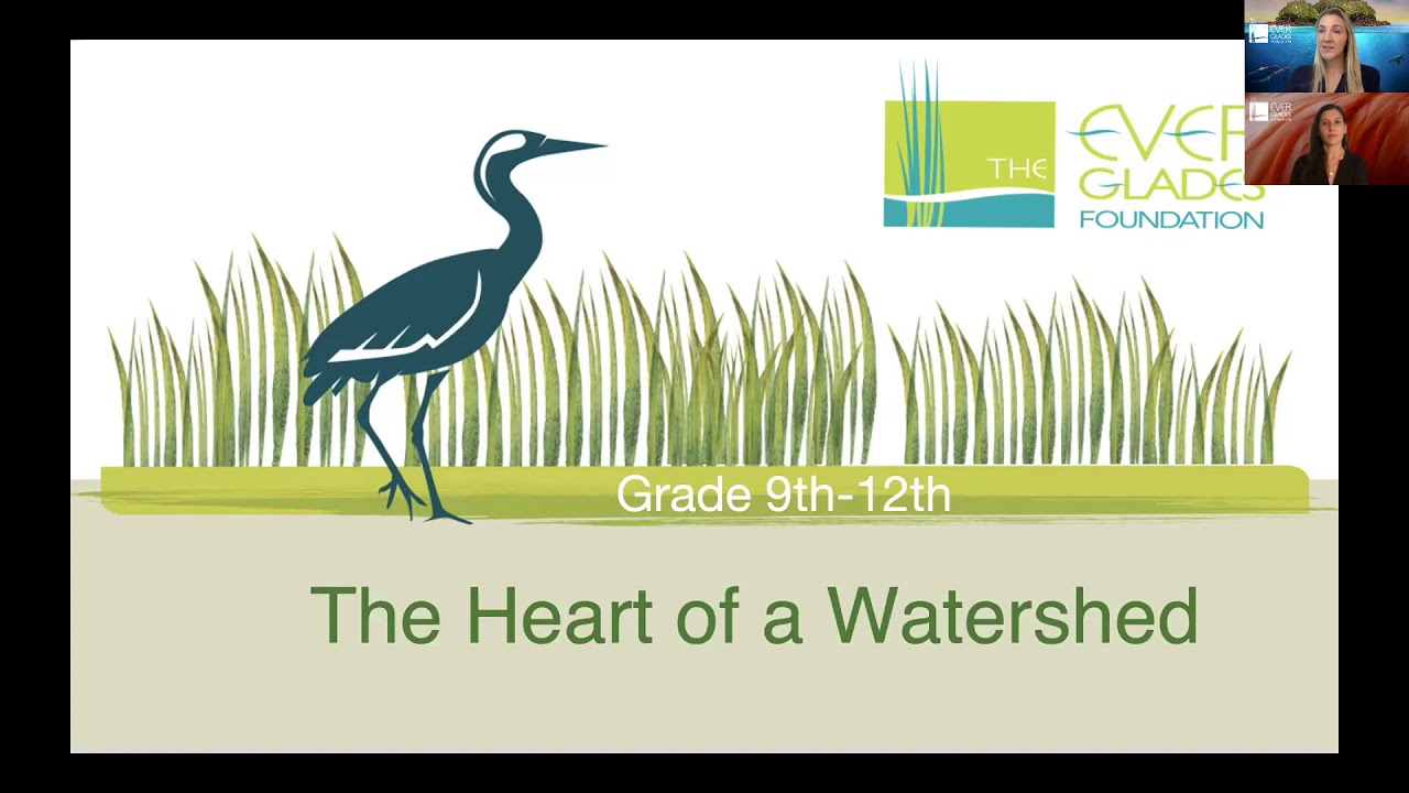 Everglades 101: The Science Behind Watershed Restoration - YouTube