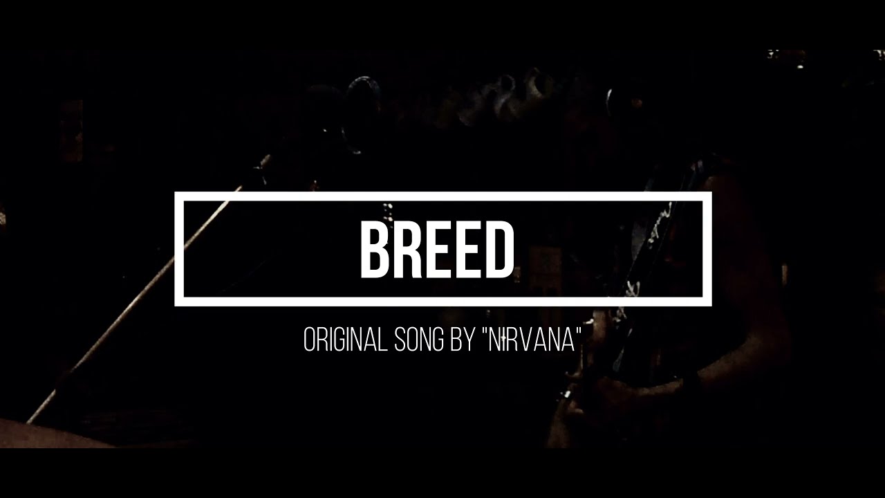 "Breed" by Nirvana ( Live Cover by LEE ) - YouTube