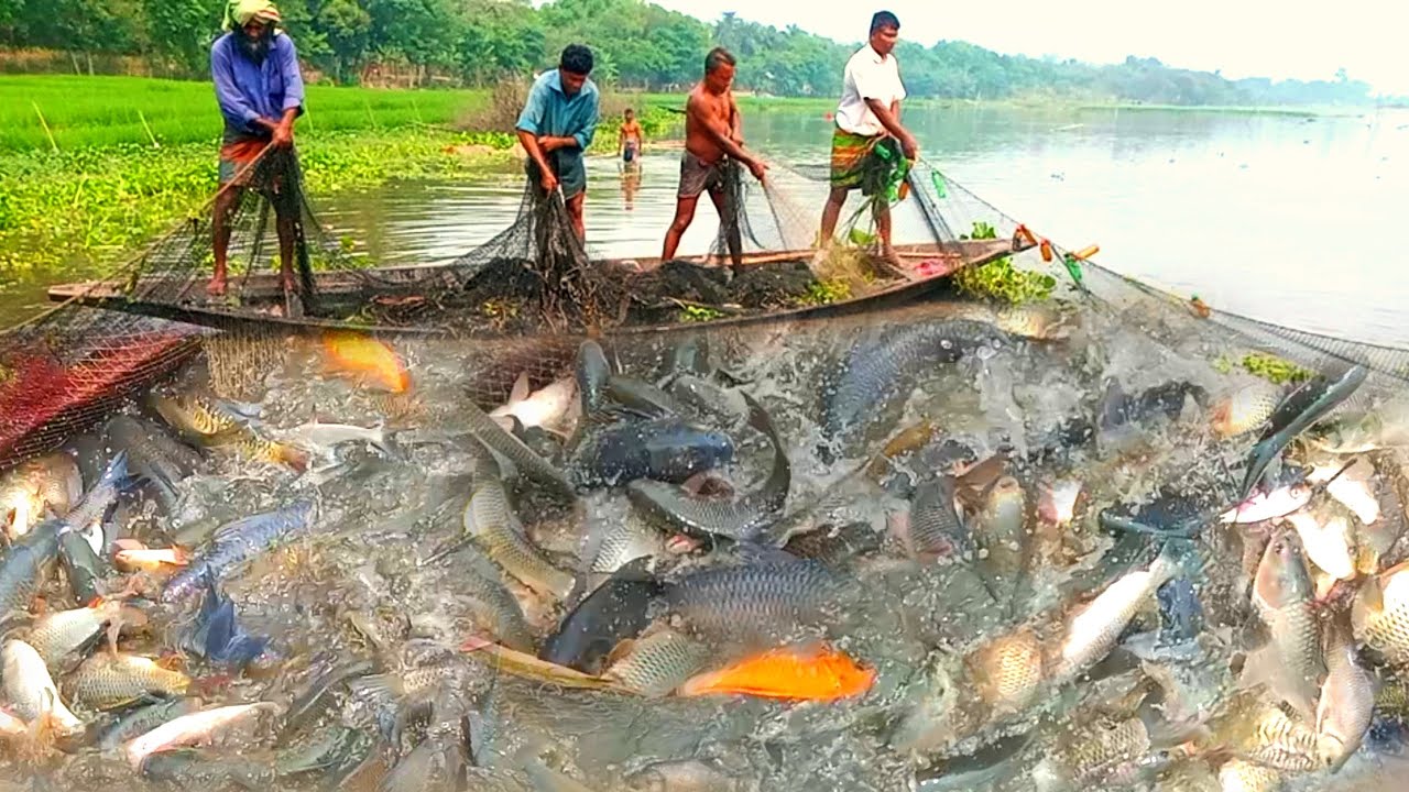 For The First Time, I Caught (2000 kg) Of Fish From The River With A ...