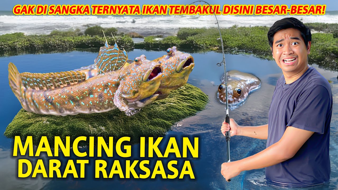 AKHIRNYA KITA BISA NANGKEP IKAN DARAT RAKSASA! MANCING IKAN TEMBAKUL ...