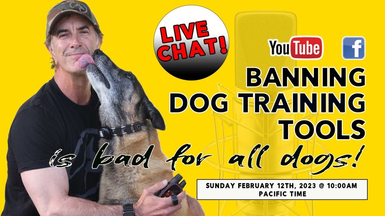 Banning Dog Training Tools is Bad for ALL Dogs - YouTube