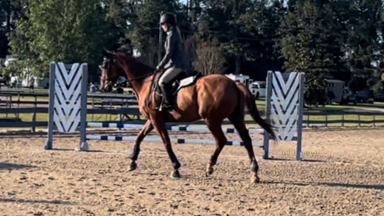 09-16-2023 - 2’3” Jumpers - Table II.2.1 — 1st Place - YouTube