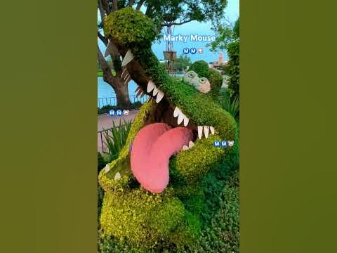 Tik Tok Crocodile Alligator Gator #tiktok #views #disney #garden # ...