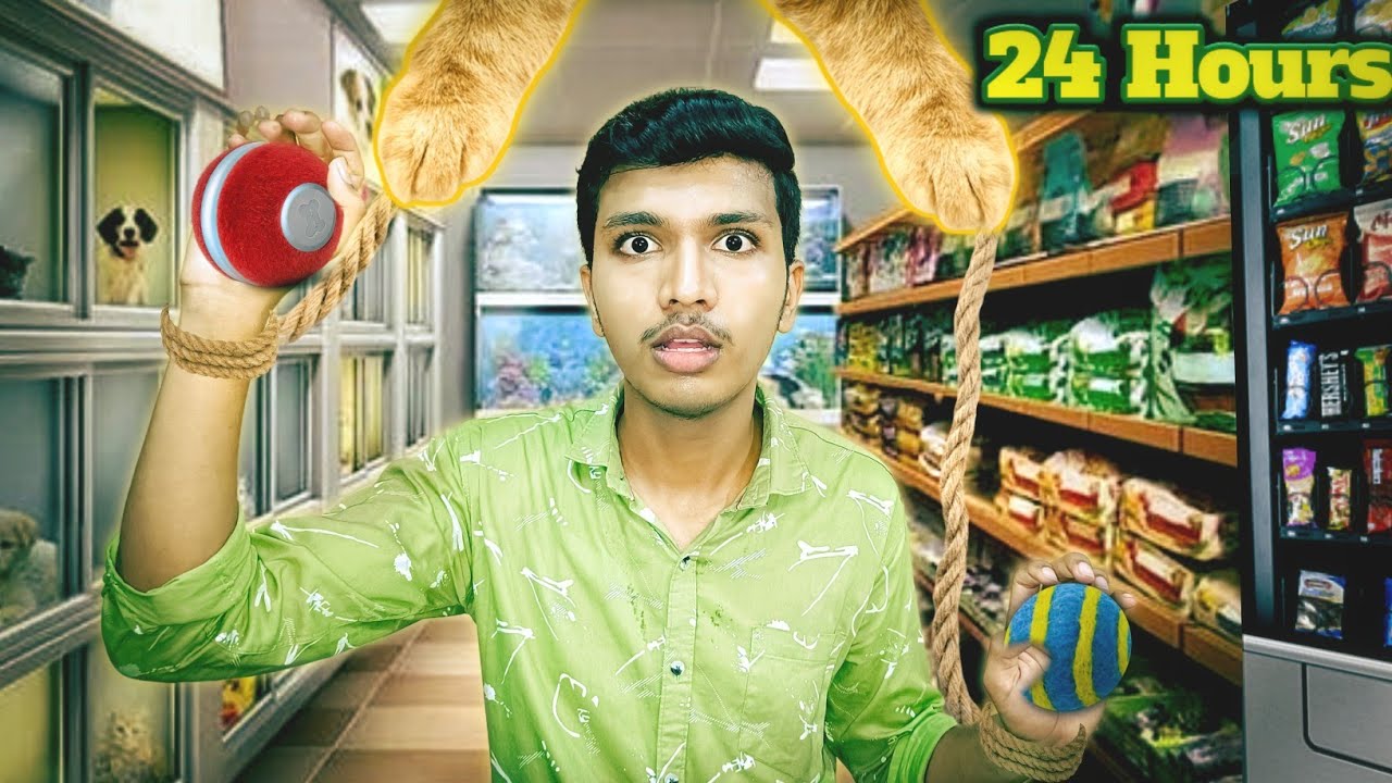 Saying Yes To My CAT (Tim - Tim) For 24 Hours | It's Gone Horrible 😮 ...