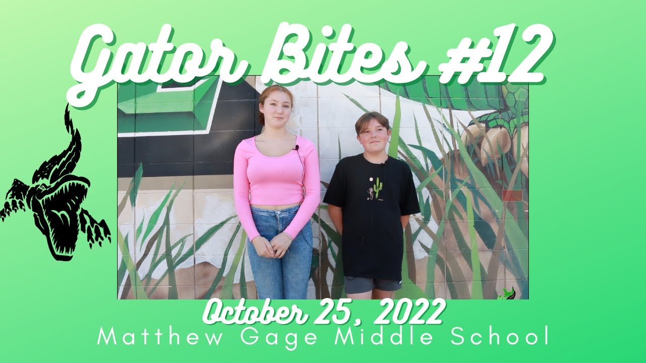 Gator bites 12 - YouTube