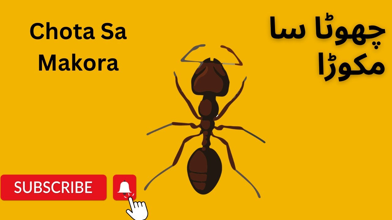 Chota Sa Makora | Urdu Poem | Urdu Nursery Rhymes | Kids Rhymes - YouTube