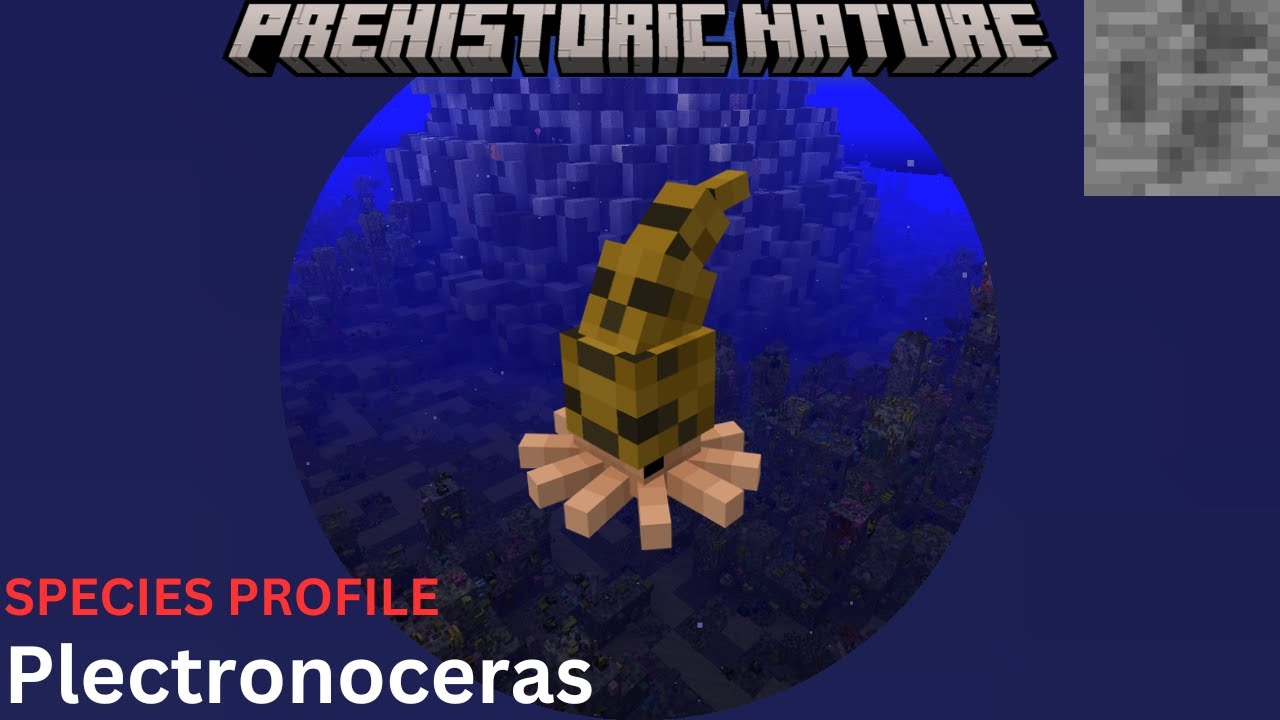 Prehistoric nature - Plectronoceras species profile - YouTube