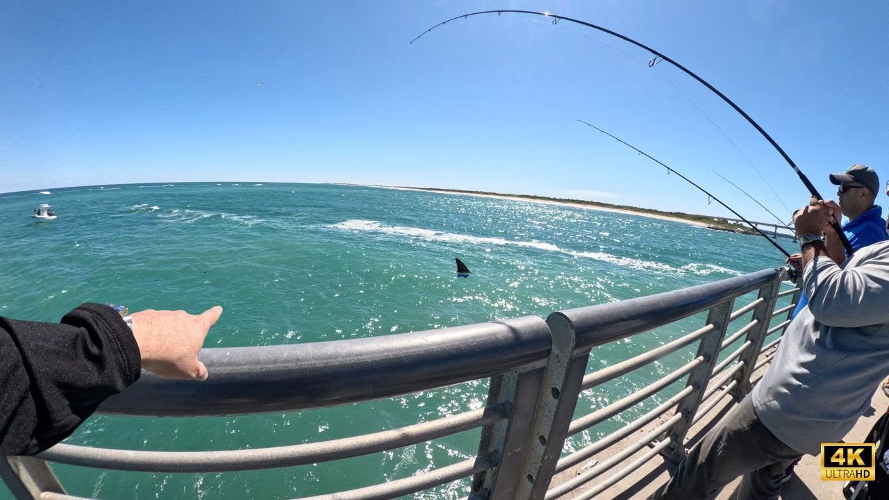CRazy Sebastian Inlet FISHING Pier.. Everything you need to know. - YouTube