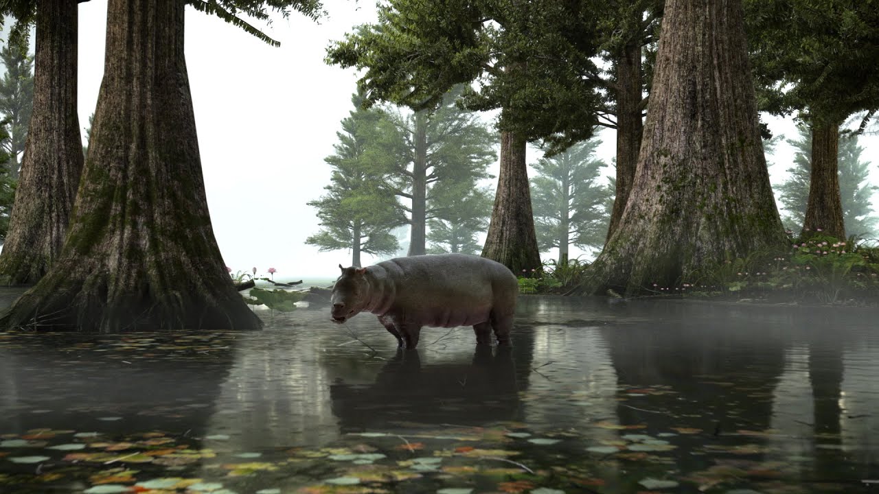 Fifty Million Years Ago, the Arctic Was a Warm Swamp I NOVA I PBS - YouTube