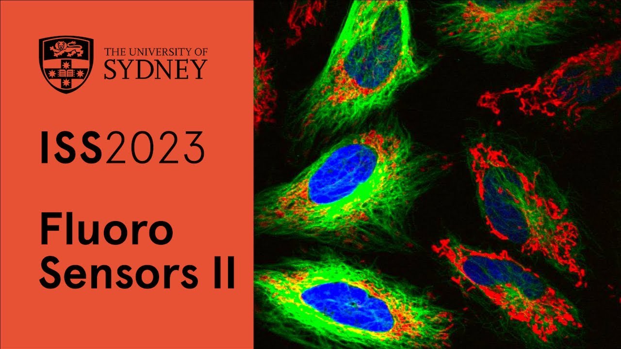 Fluorescent Sensors for Heath Research — Prof. Liz New - YouTube