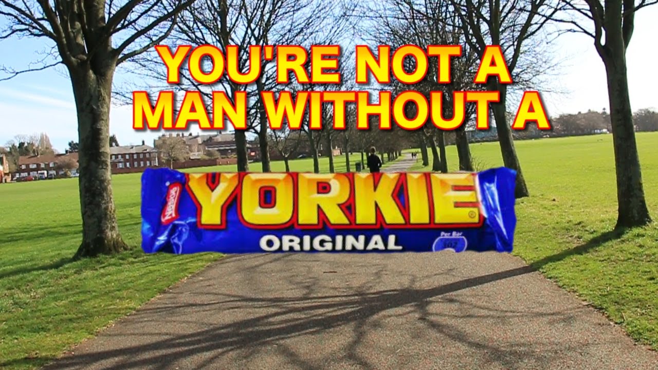 Yorkie Advert - You're Not A Man Without A Yorkie (College Project ...