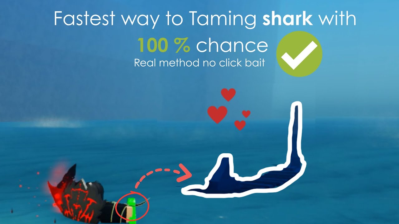How to taming shark EASIEST WAY | Roblox rune slayer - YouTube