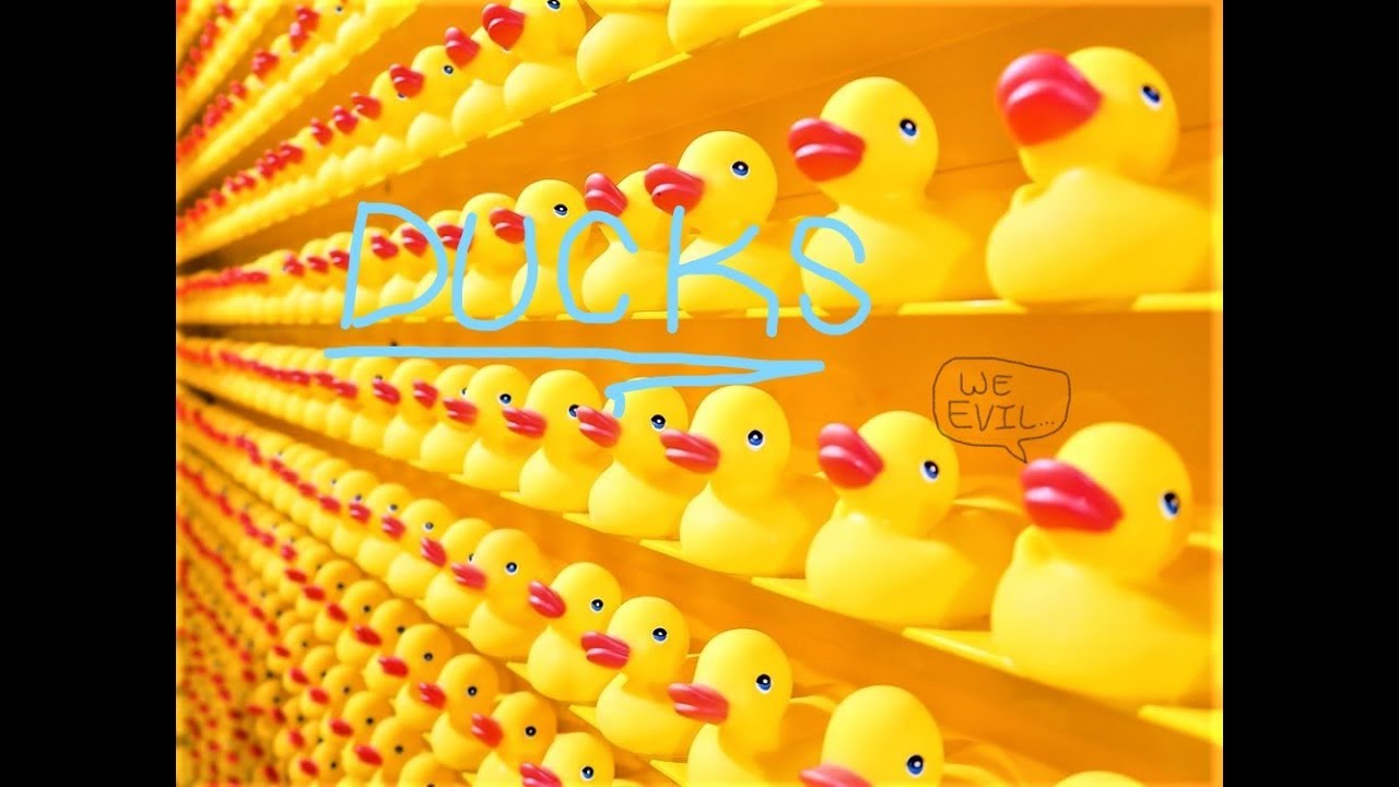 DUCKS ARE WHAT??? | Short Film | Creation Studios - YouTube