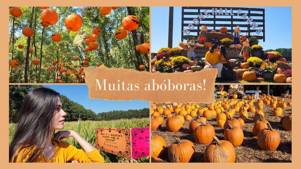 FESTIVAL DE OUTONO NOS EUA - Pumpkin Patch 🎃| Buttercup Becca - YouTube