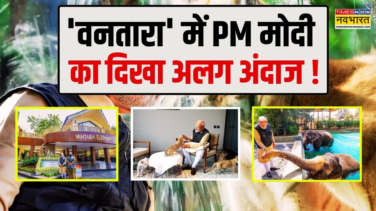 PM Modi Vantara Visit News: शेर के बच्चे को दुलार... टाइगर से प्यार ...