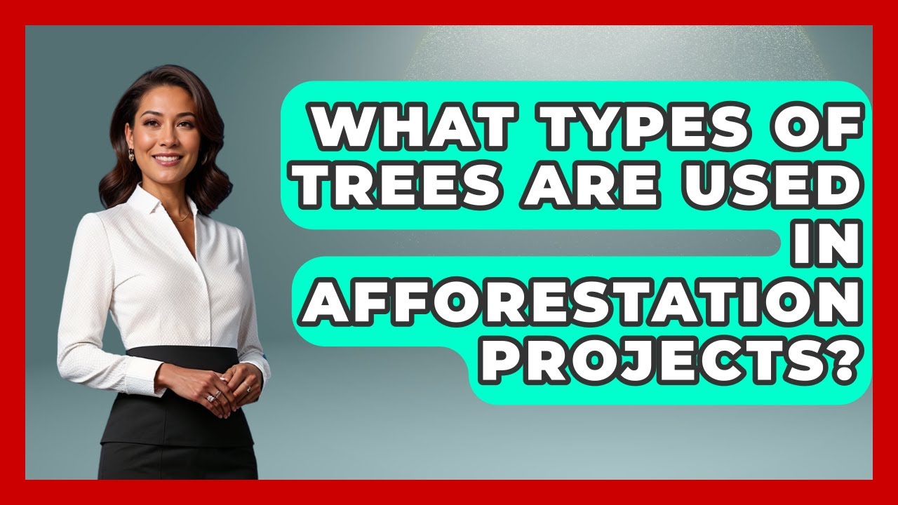 What Types Of Trees Are Used In Afforestation Projects? - Weather ...