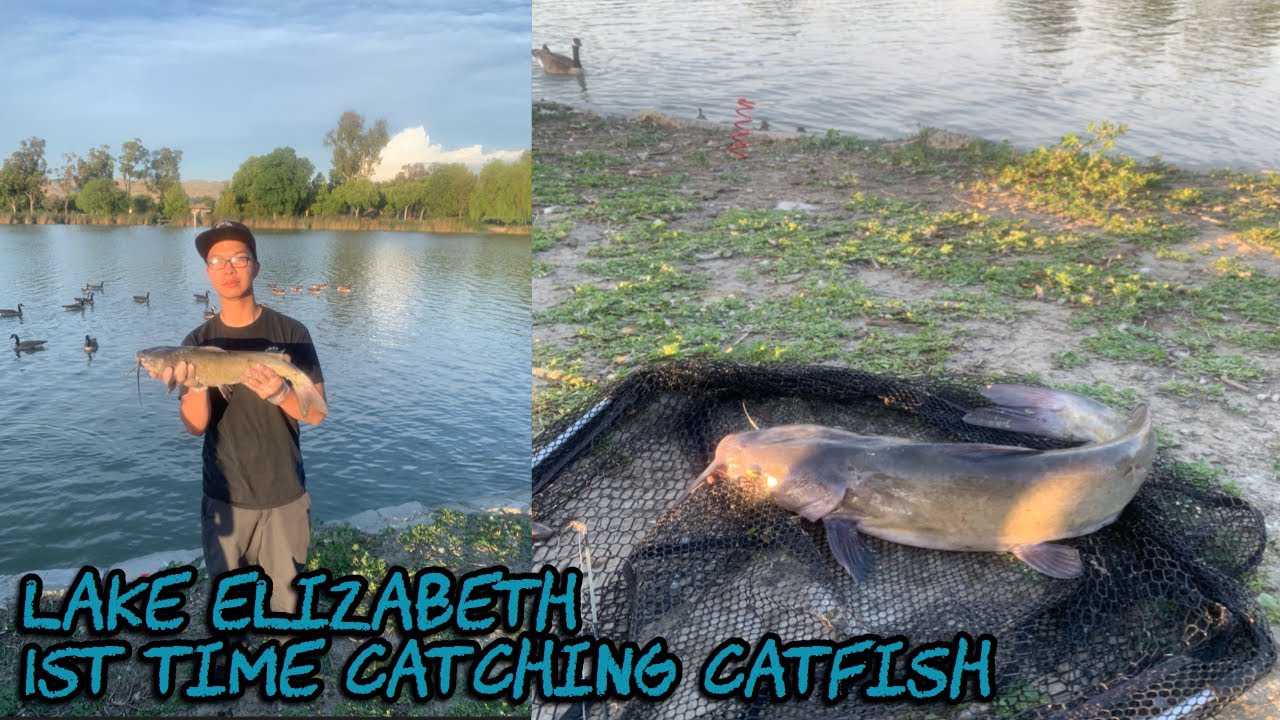 Elizabeth Fish's Instagram, Twitter & Facebook on IDCrawl