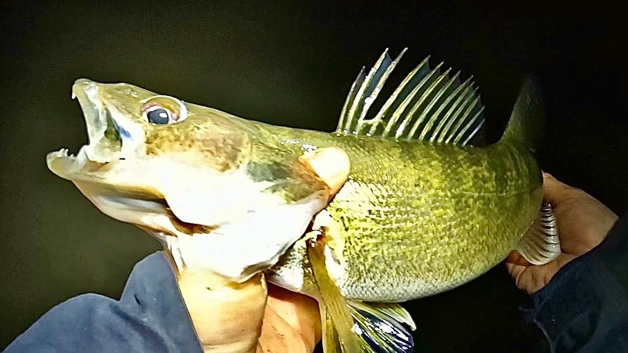 The Perfect Time to Fish This Type of Spot (Western PA) - YouTube