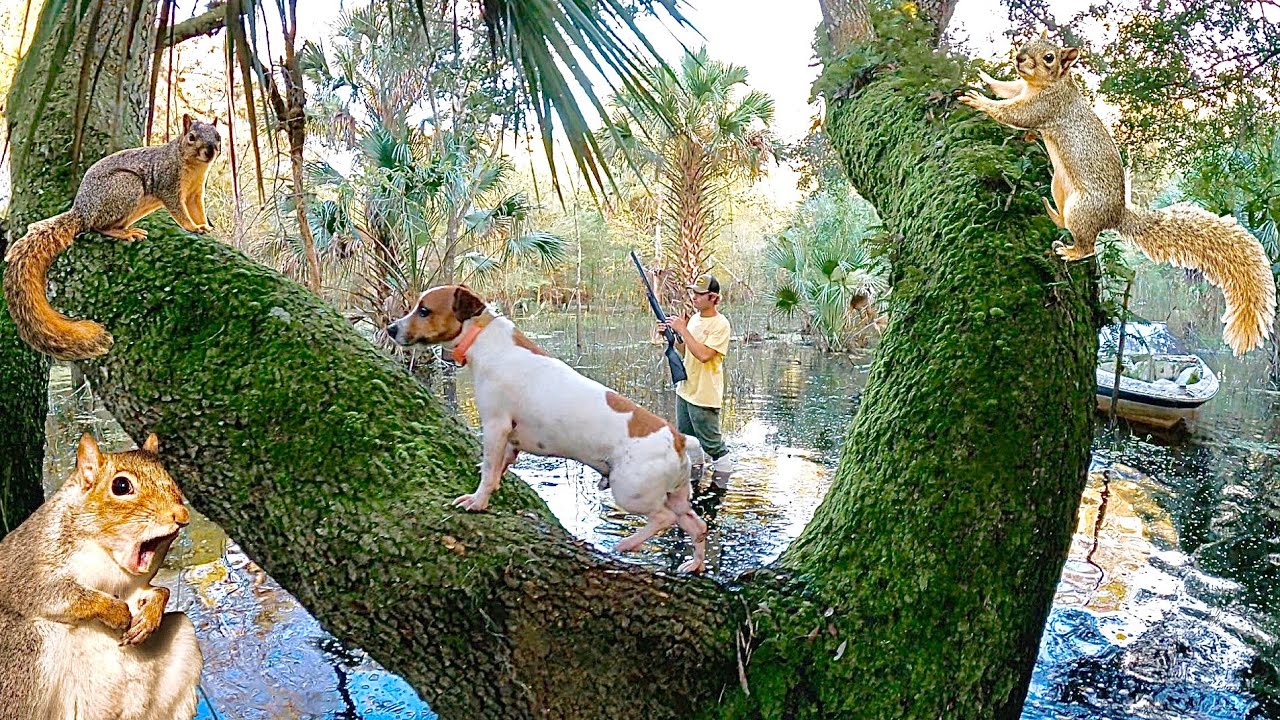 Hunting *TREE RATS* with my DOG *Squirrel Catch & Cook* BlueGabe Style ...