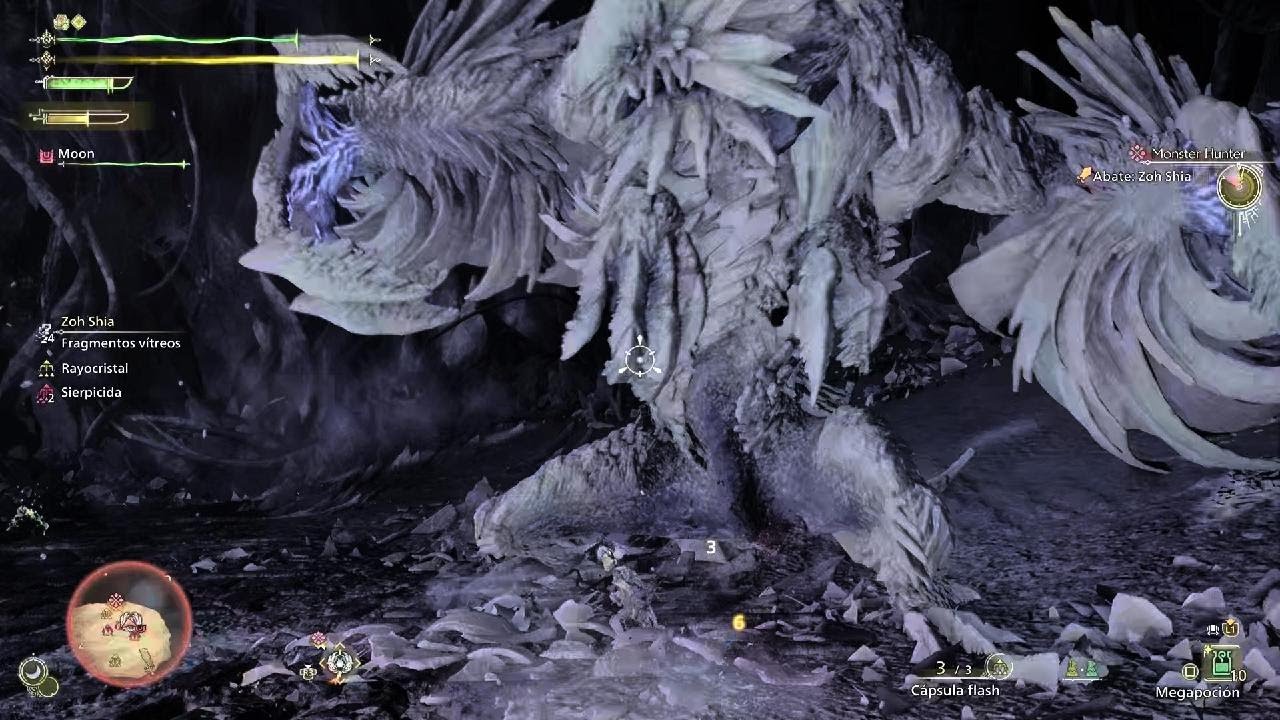 Monster Hunter Wilds Zoh shia - YouTube