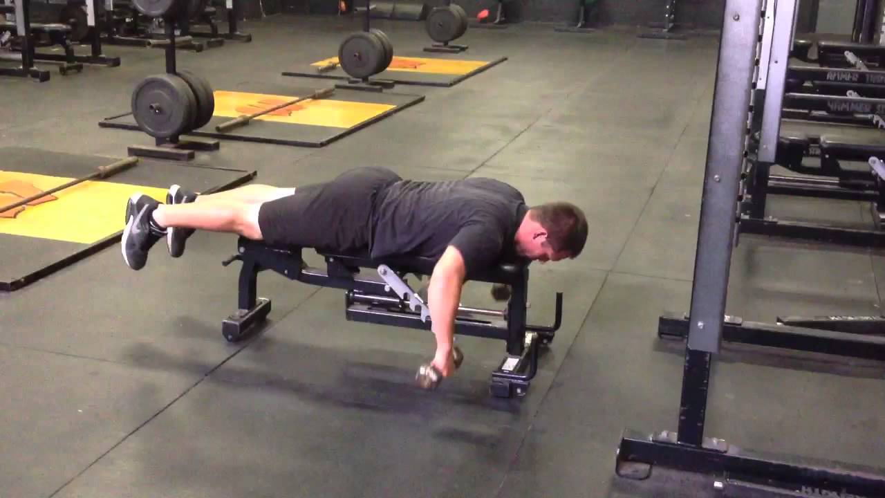 Bench Reverse Fly - YouTube