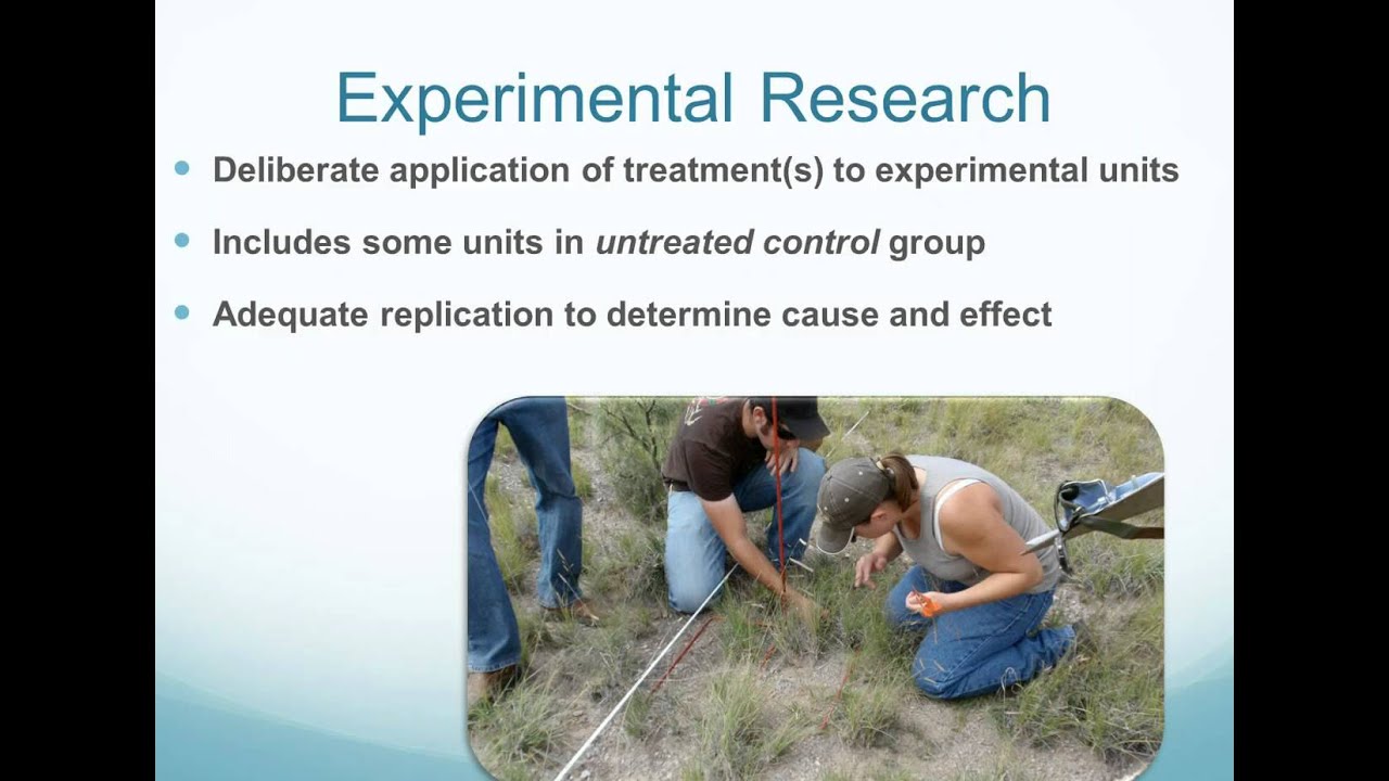 Vegetation Monitoring Overview - YouTube