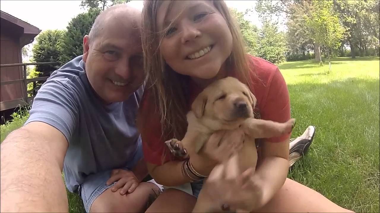 Happy Puppies - Inspired by Pharrell Williams - YouTube