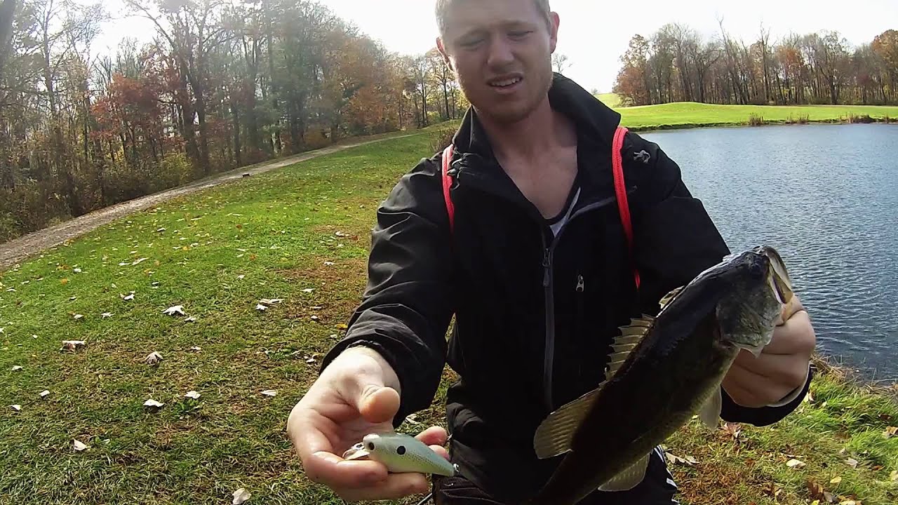 Fall Bass Fishing Tips - YouTube