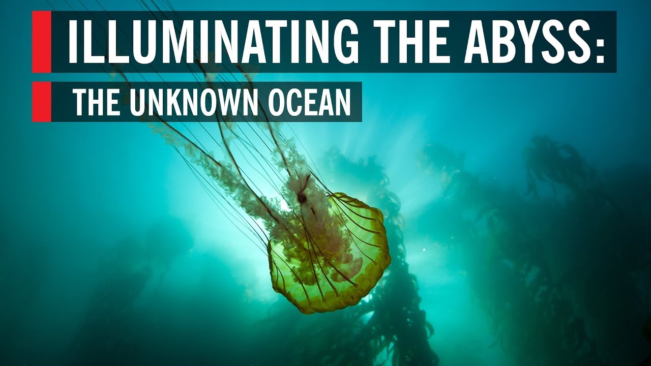 Illuminating the Abyss: The Unknown Ocean - YouTube