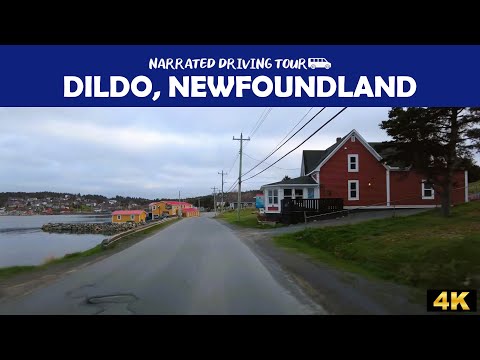 🚗 Driving Through Dildo, Newfoundland 🇨🇦 | Stunning Coastal Views in 4K! 🌊🏞️