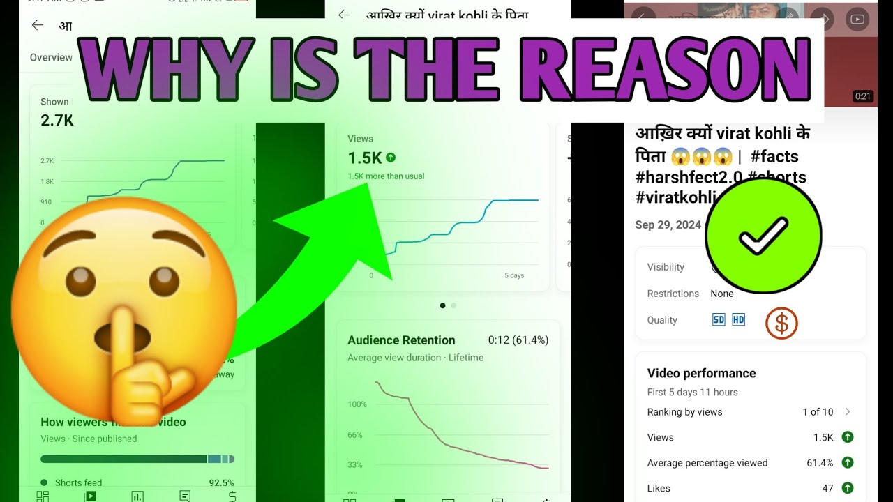 How To Grow Views Graph | And Stuk Graph Solution - YouTube
