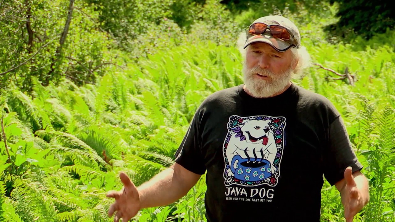 Building Alaska episodes (TV Series 2012 - 2020)