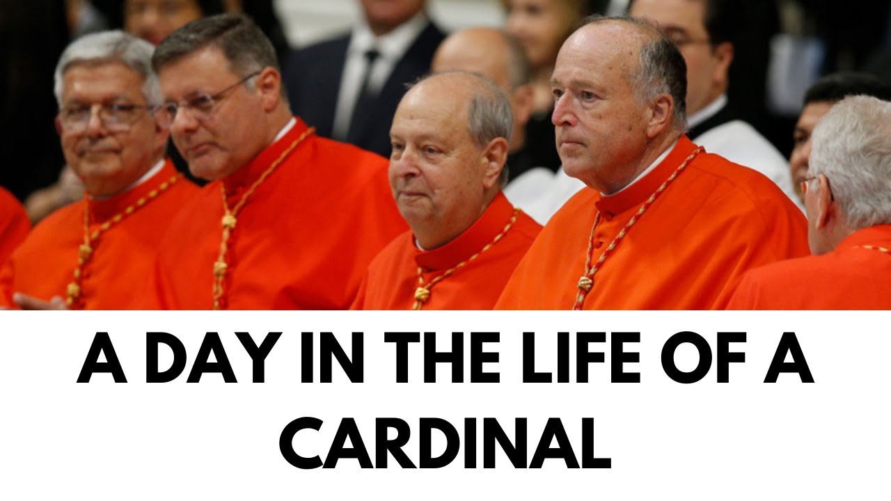 A day in the life of a Cardinal - YouTube