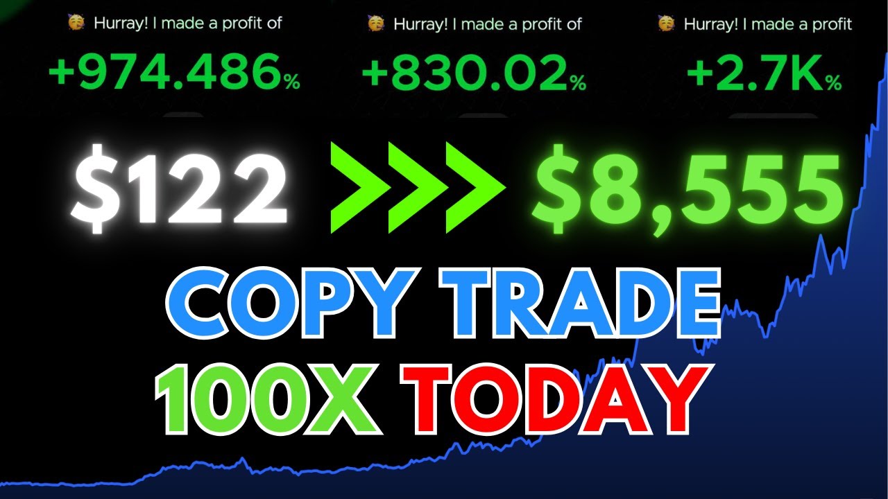 How to Copy Trade Meme Coin Traders | Telegram Bot & Wallet Analyzer ...